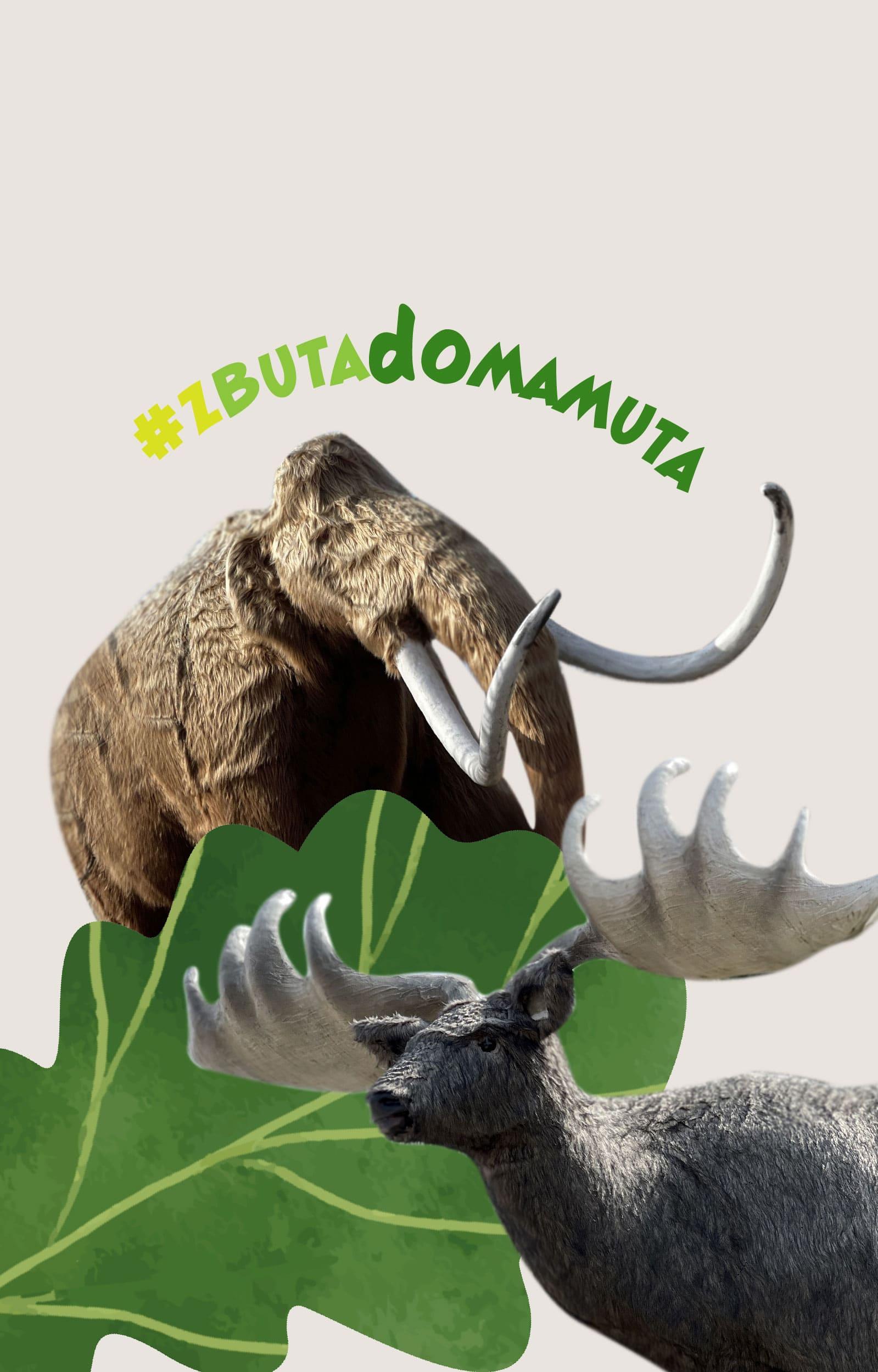 Deli Park | Strona główna